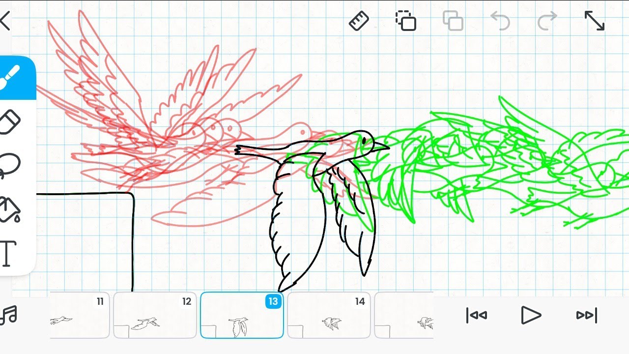 Animation drawing practice "bird take off" on flipaclip #drawing # ...