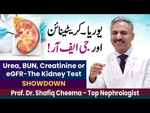 Urea, BUN, Creatinine or eGFR The Kidney Test SHOWDOWN | The Best & Most Accurate Kidney Test