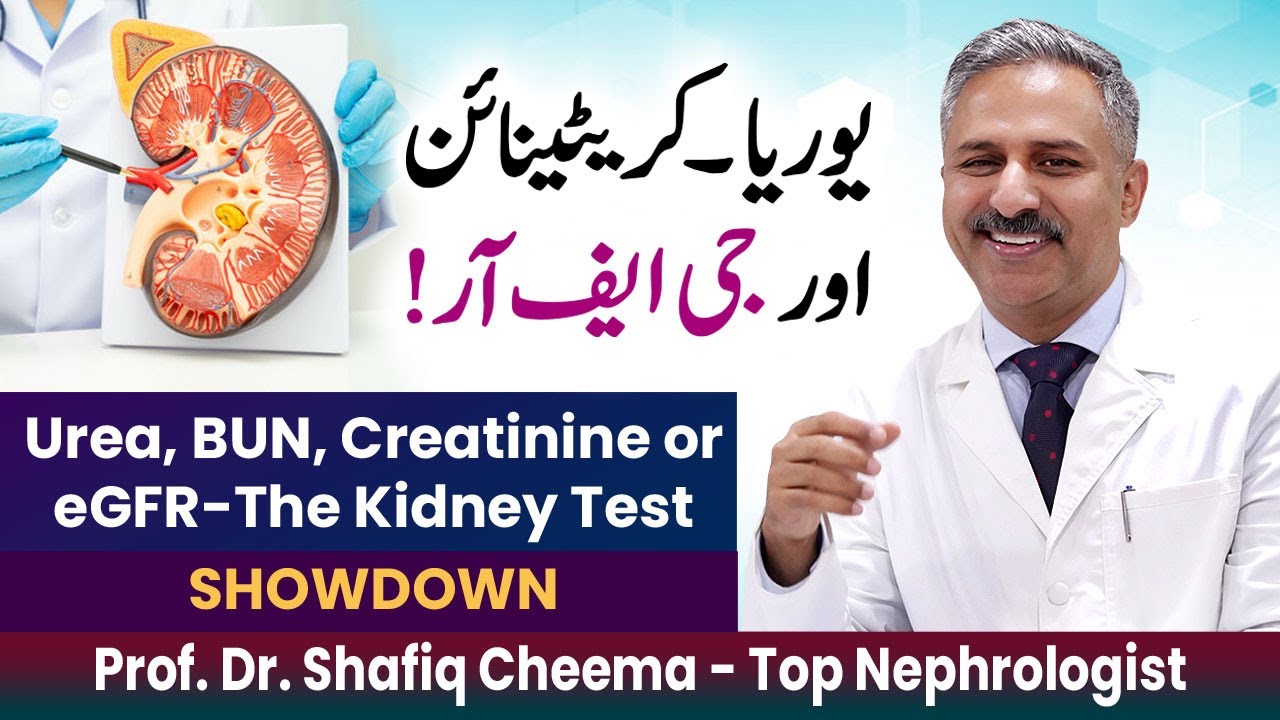 Urea, BUN, Creatinine or eGFR The Kidney Test SHOWDOWN | The Best ...
