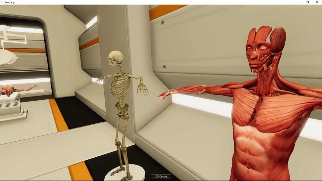 Human Anatomy Class VR - YouTube