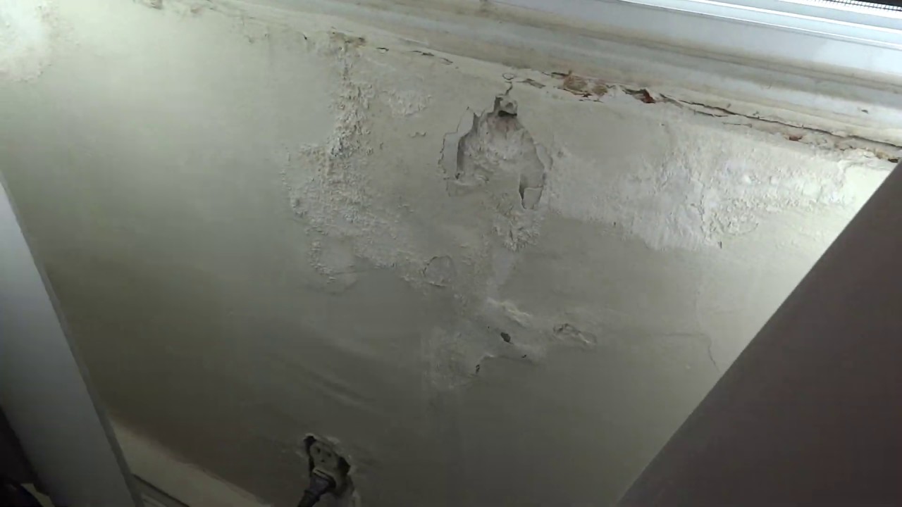 The wall in my bedroom at 100 Main St. East in Hamilton - YouTube