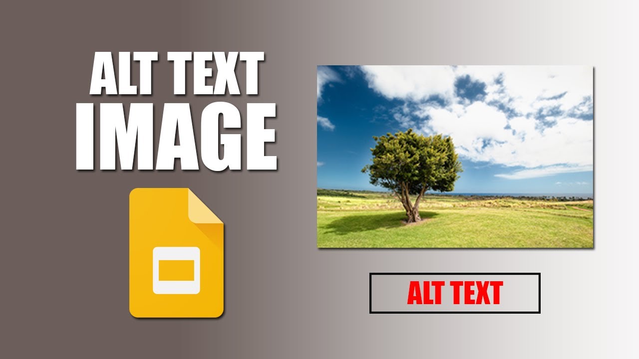 How to add alt text to an image in google slides - YouTube