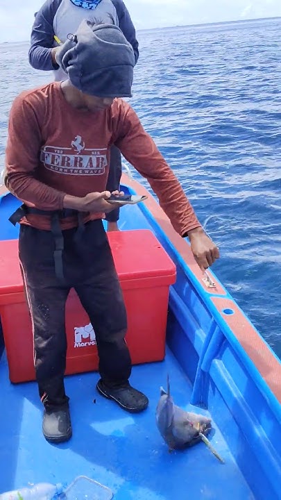 Mancing di biduk #belajar mancing jig - YouTube