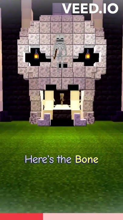 I Made A Custom Minecraft Structure for Skeletons in Minecraft #shorts ...