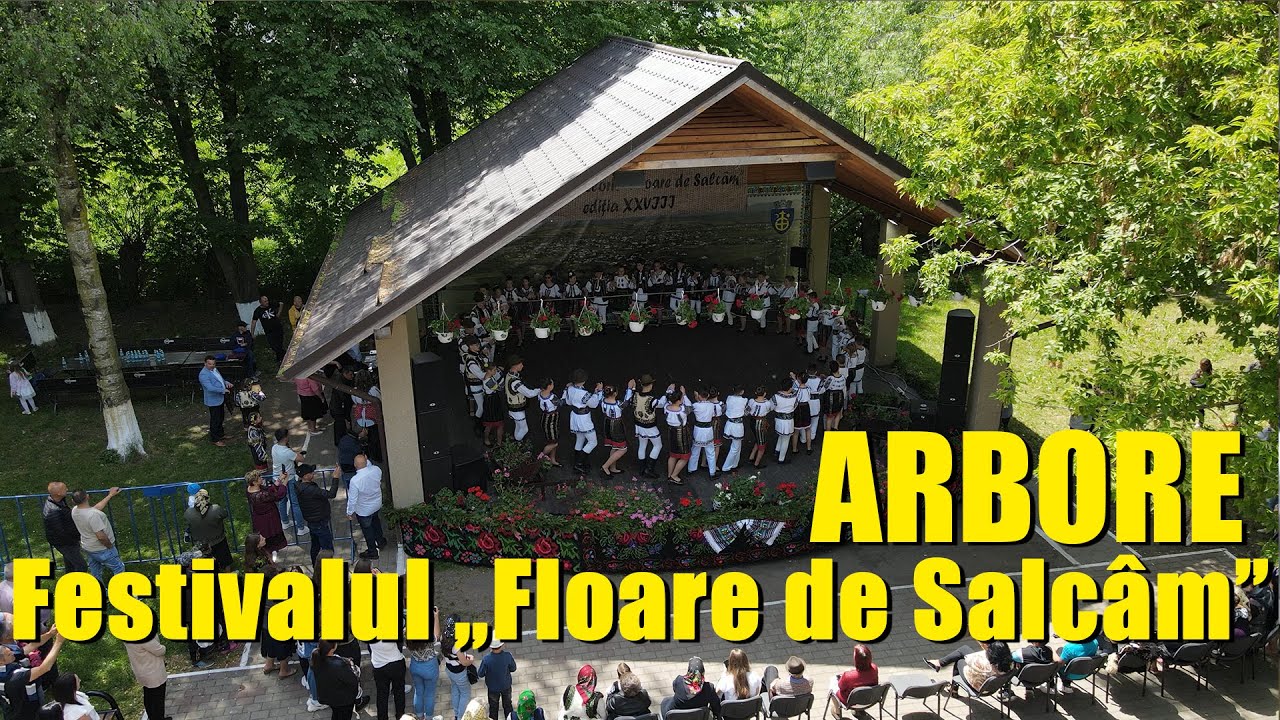 Festivalul „Floare de salcam” i-a adunat pe arboreni in parcul central ...