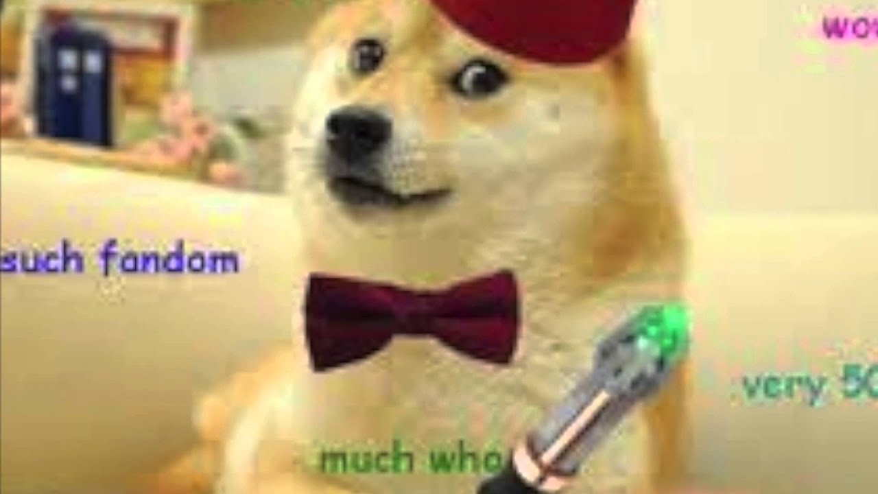 Doge Compilation - YouTube