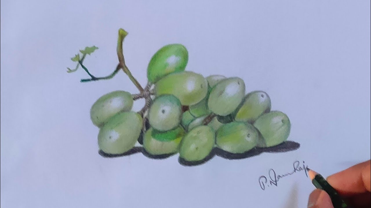 HOW TO DRAW A REALISTIC GRAPES | God of Arts | G.O.A. | - YouTube