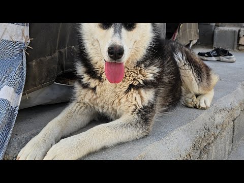 Dağlara Yeni Bir Mutfak İnşa Etmek İçin Vasıflı Bir İşçi Geliyor