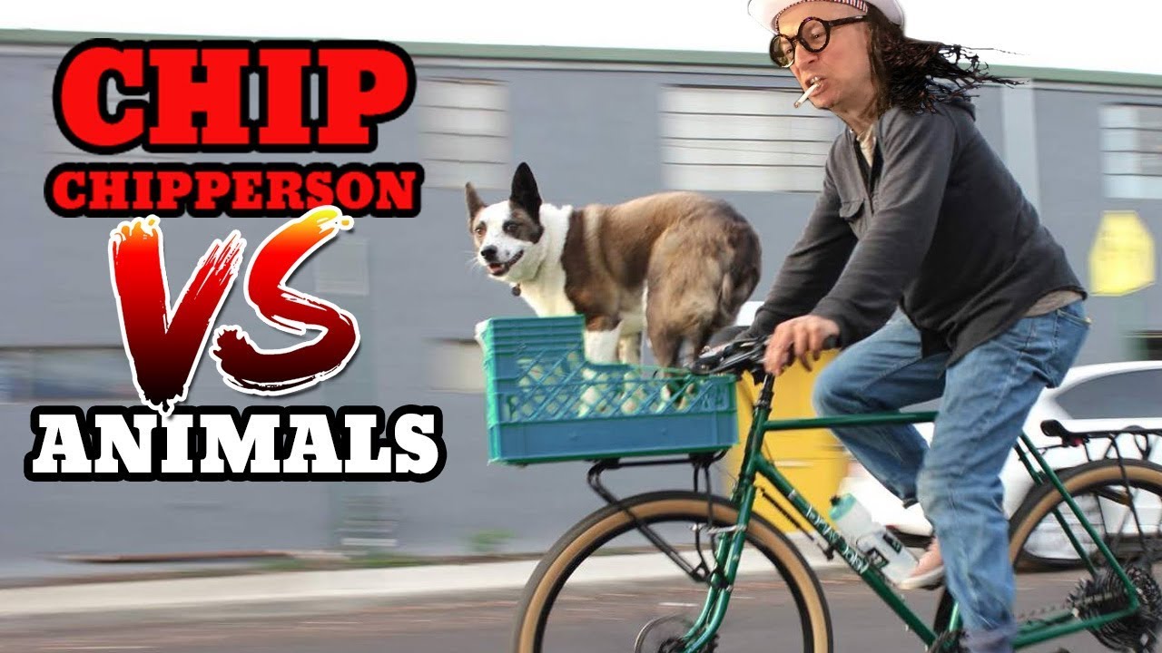 Chip vs Animals (Bike Tricks With a Puppy, Pet Tiger, Saving a Bird ...