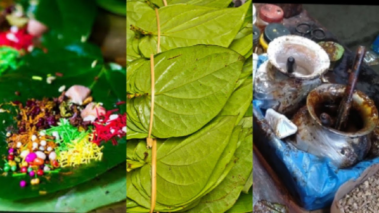 Paan Metha Paan Sweet Paan Paan Making Indian Paan Pakistani paan-metha-paan-sweet-paan-paan-making-indian-paan-pakistani