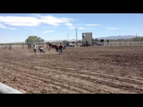 Wild Pony Race 2013 - YouTube