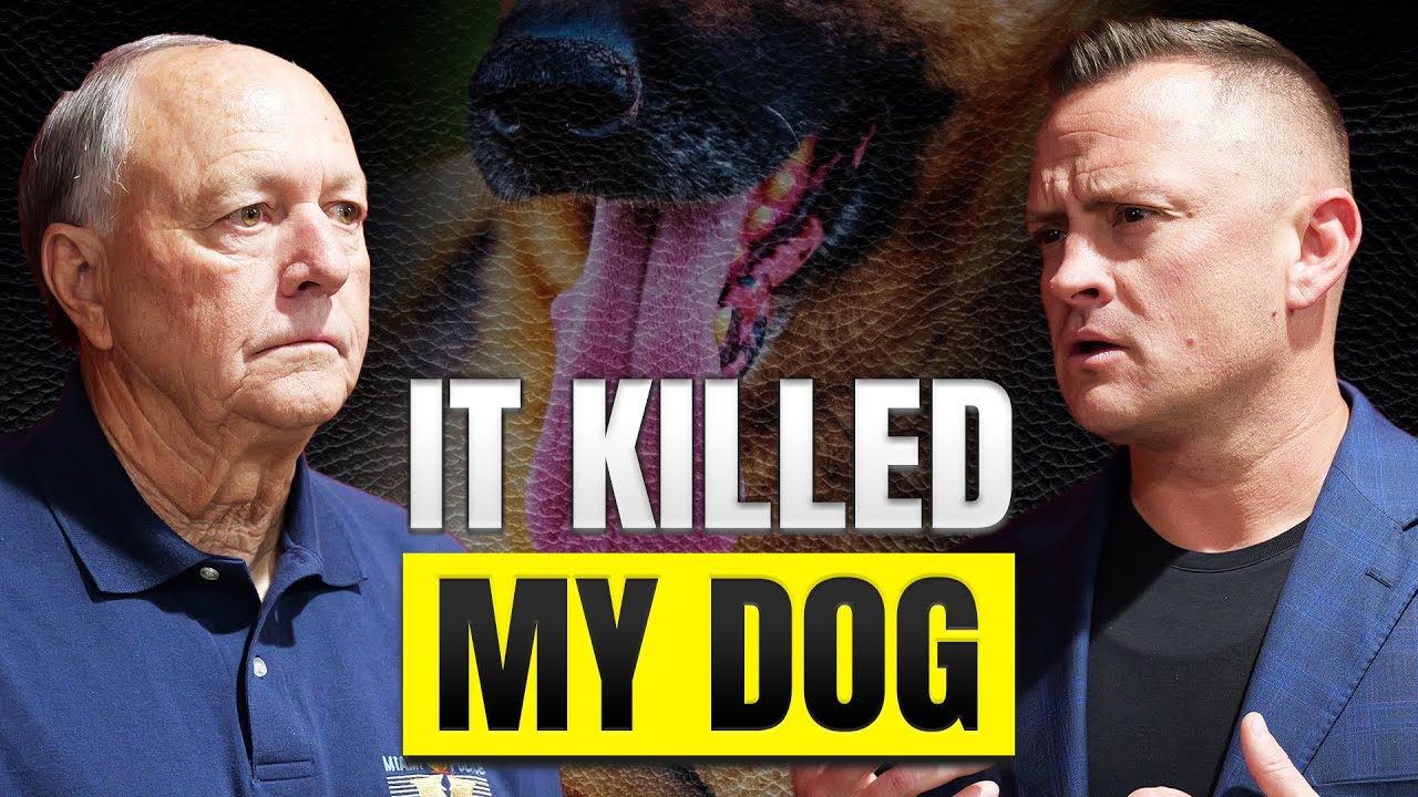 K9 Police Dog Dies Chasing Criminal Through Forest! - YouTube