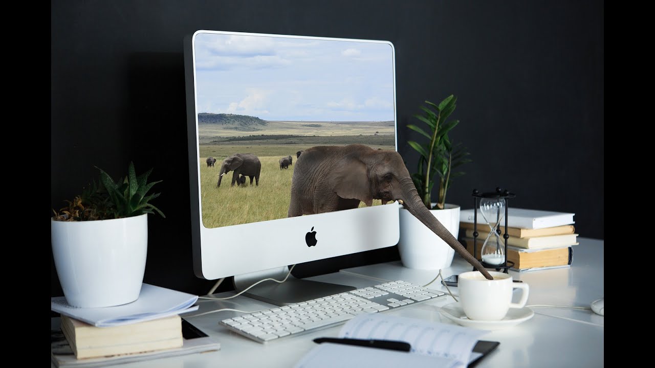 Computer Studies Grade 8 & 9 Lesson 11 (Zambian Syllabus) - YouTube