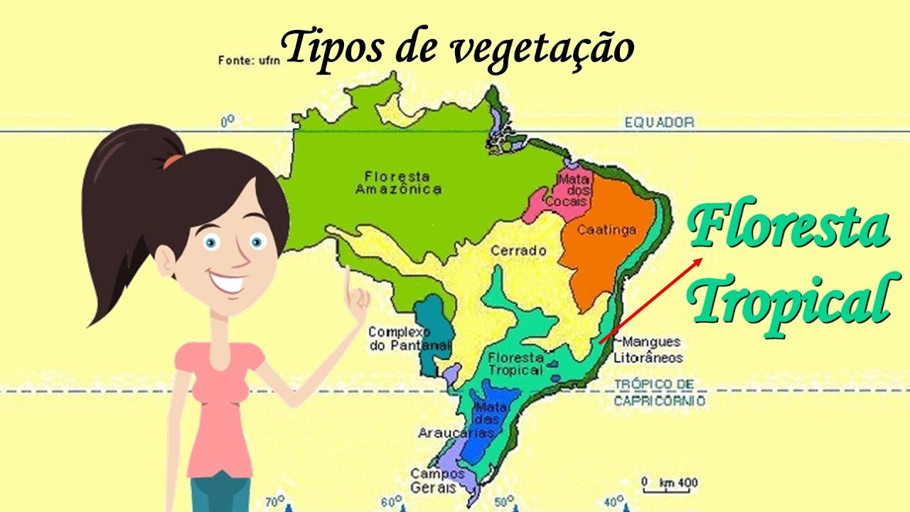 Tipos de vegetação - Floresta tropical - 2 - YouTube