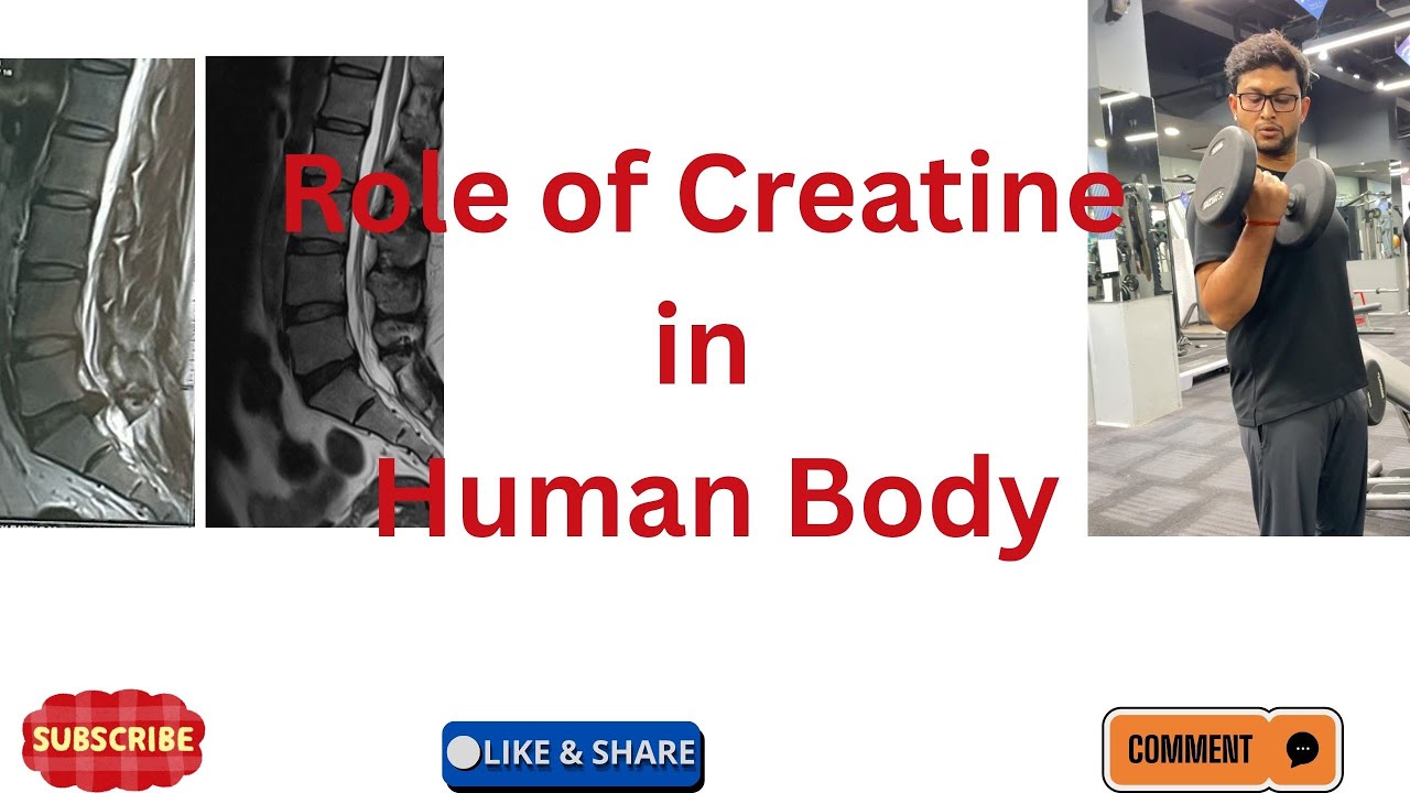 Creatine Role in Slip Disc Recovery | Muscle Recovery | Back Pain # ...