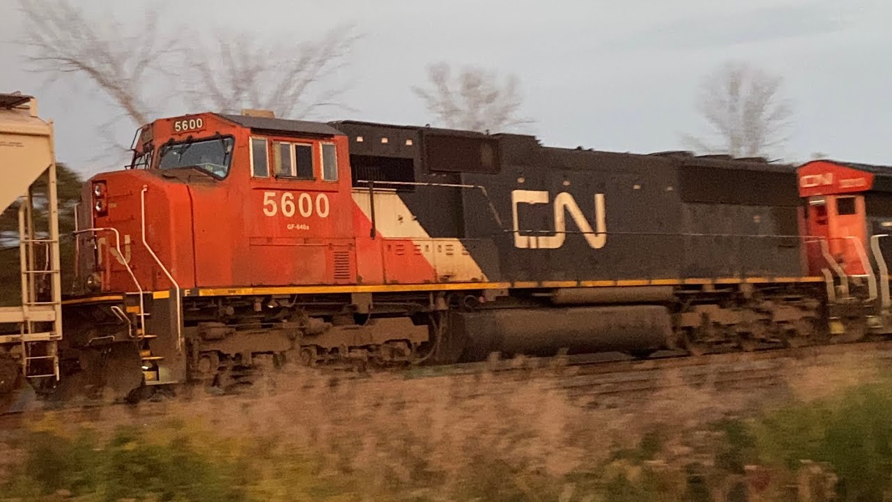 CN trains at Beaverton and Brechin - YouTube