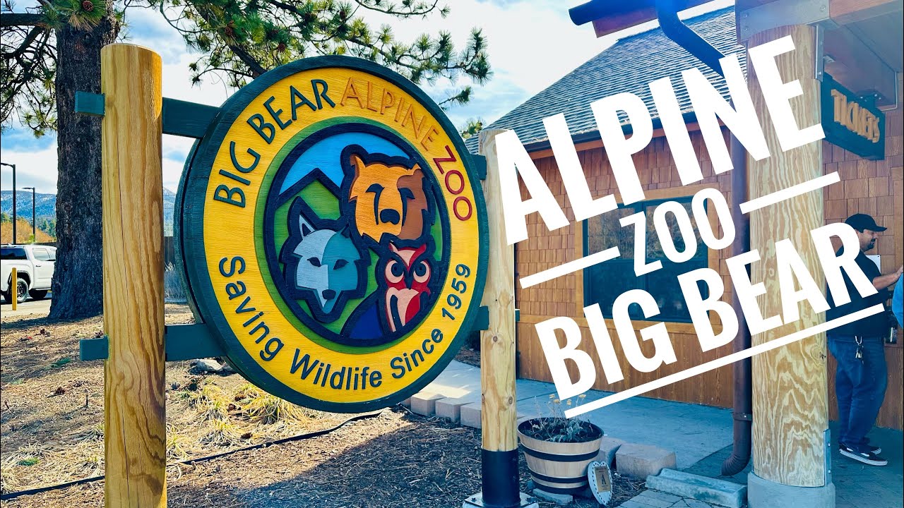 Big Bear Alpine Zoo | Big Bear Lake - YouTube