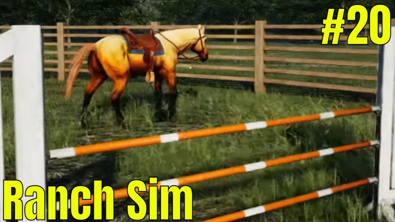 RANCH SIMULATOR #20 - COMPRIAMO UN CAVALLO ALL' ASTA - GAMEPLAY ITA ...