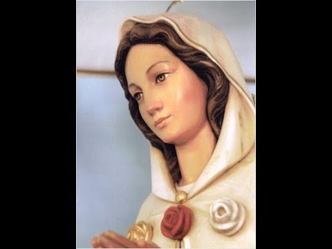 VIRGEN ROSA MÍSTICA REGALA ESCARCHAS UN DIA ANTES DE SU CELEBRACIÓN ...