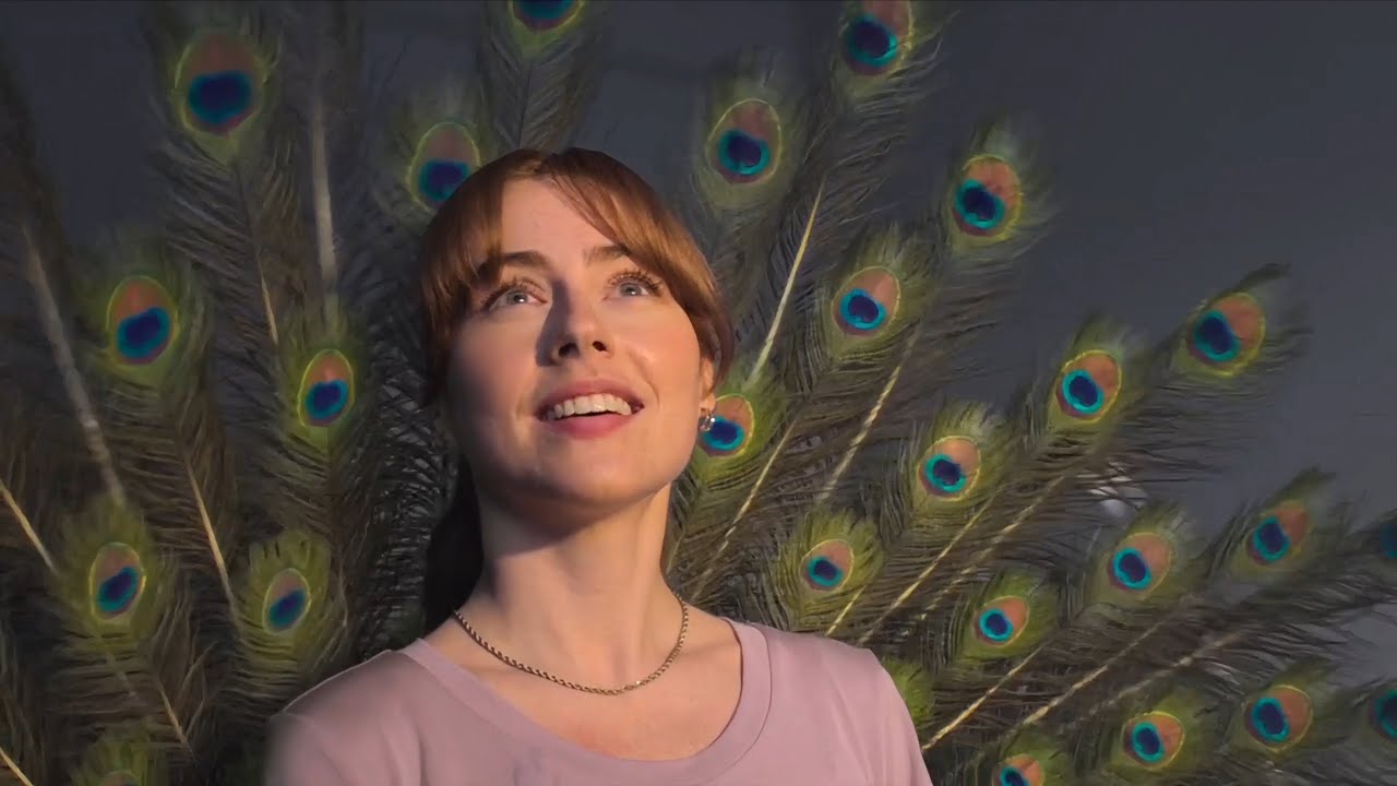 Feel as Proud as a Peacock | Wickes - YouTube