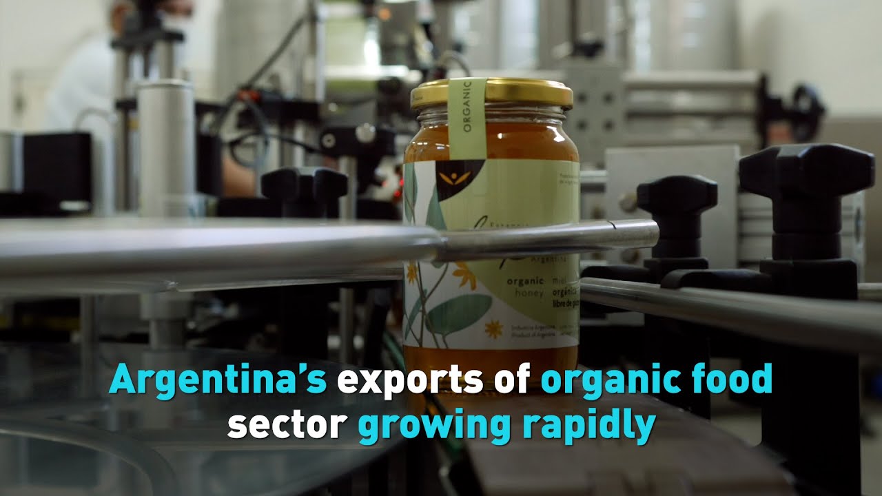 Argentina’s exports of organic food sector growing rapidly - YouTube