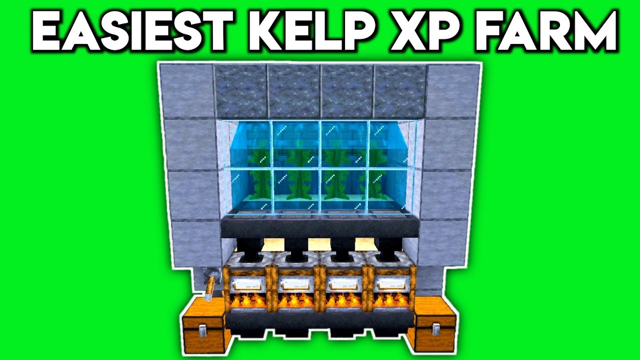 Easiest 1.20 Super Fast Kelp Xp Farm In Minecraft Bedrock ( Java/Xbox ...
