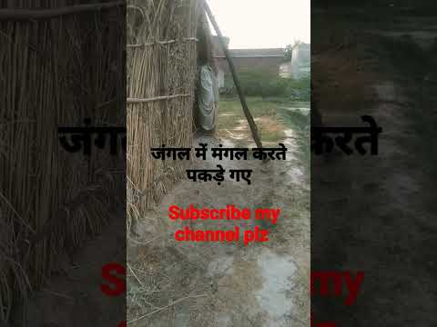 jungle me mangle krte pakde gye dono