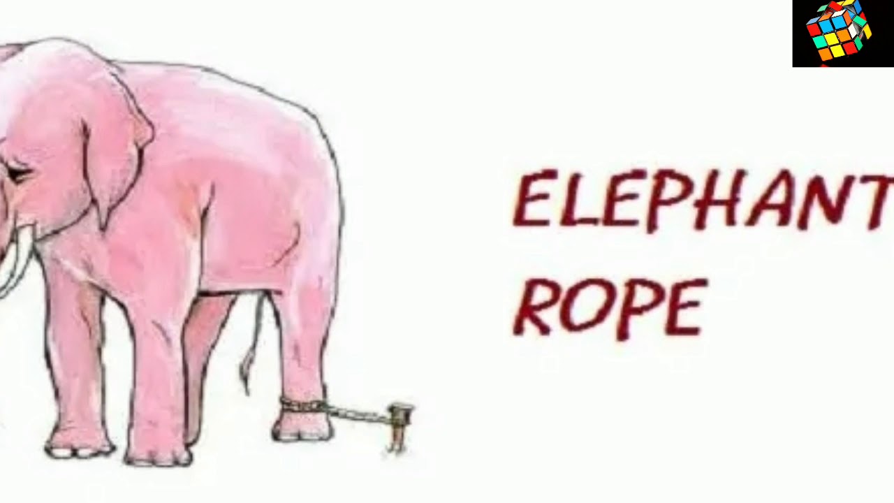 Mind blowing short #motivational story elephant and the rope. - YouTube