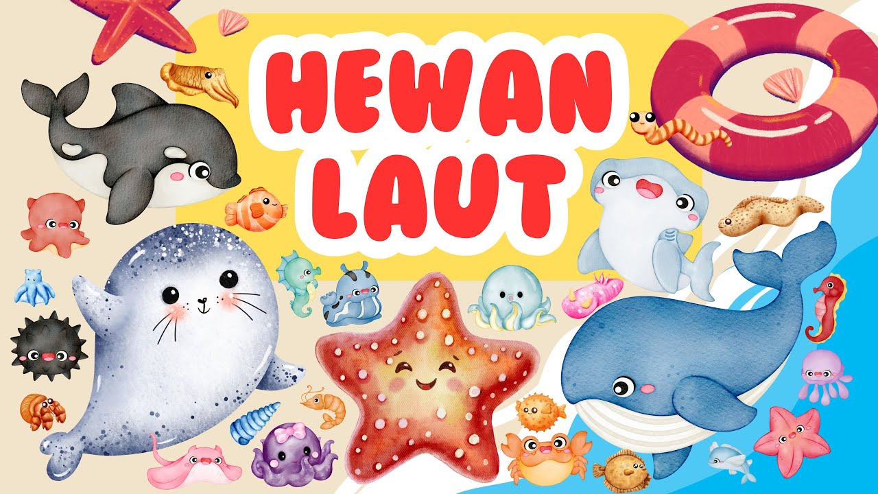 AYO BELAJAR MENGENAL NAMA-NAMA HEWAN LAUT | LEARNING SEA ANIMALS NAME ...