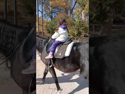 MASALIMIN AT BİNME KEYFİ 🤠