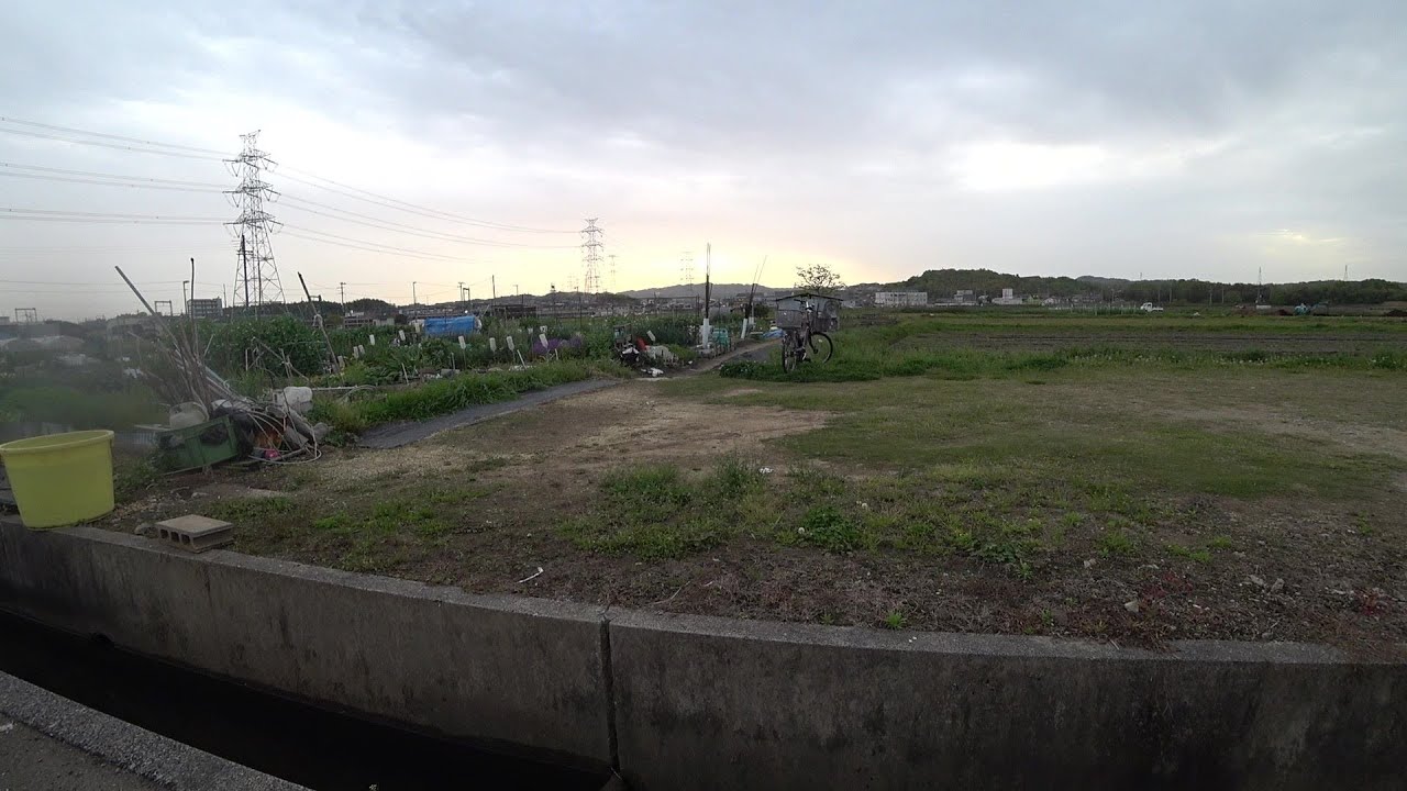 Nature Wonderland; collecting 300 scavenger shellfish in an irrigation ...
