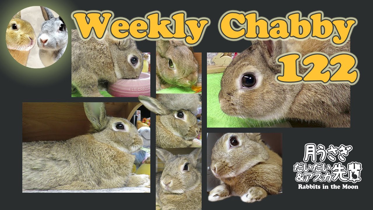Weekly Chabby 122 - YouTube