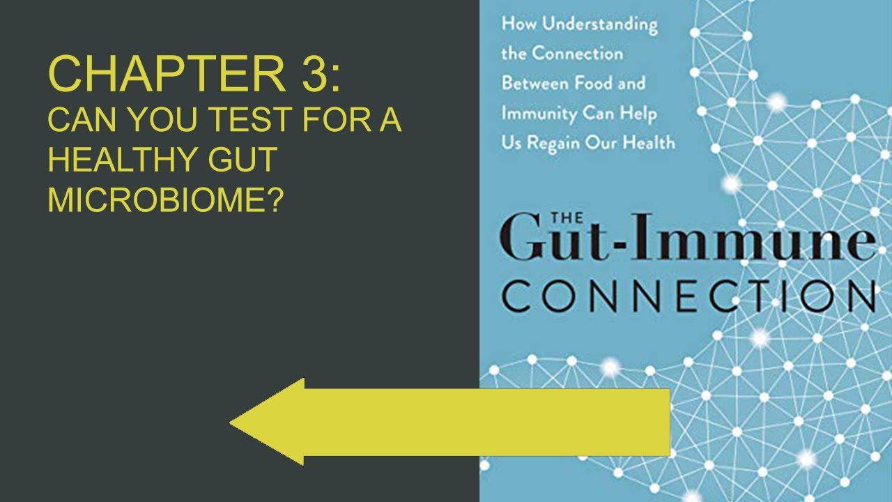 Chapter 3: The Gut Immune Connection - Can You Test For A Healthy Gut ...