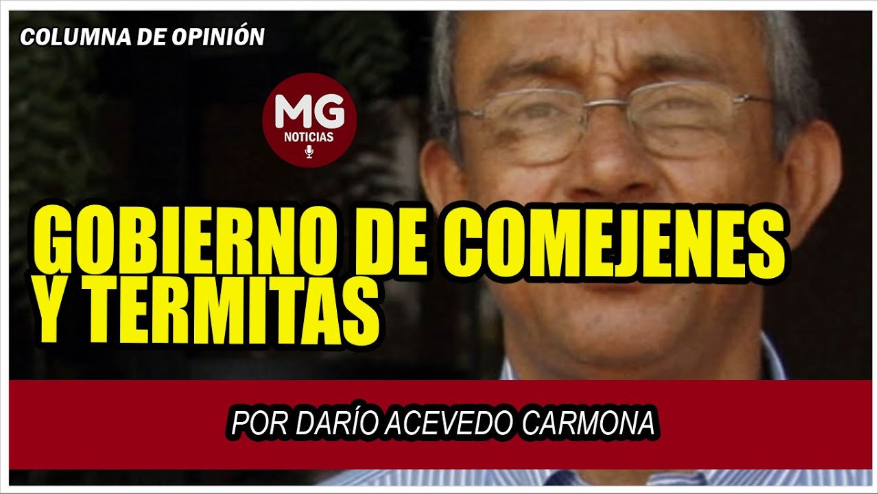 GOBIERNO DE COMEJENES Y TERMITAS 🔴 Por Darío Acevedo Carmona - YouTube