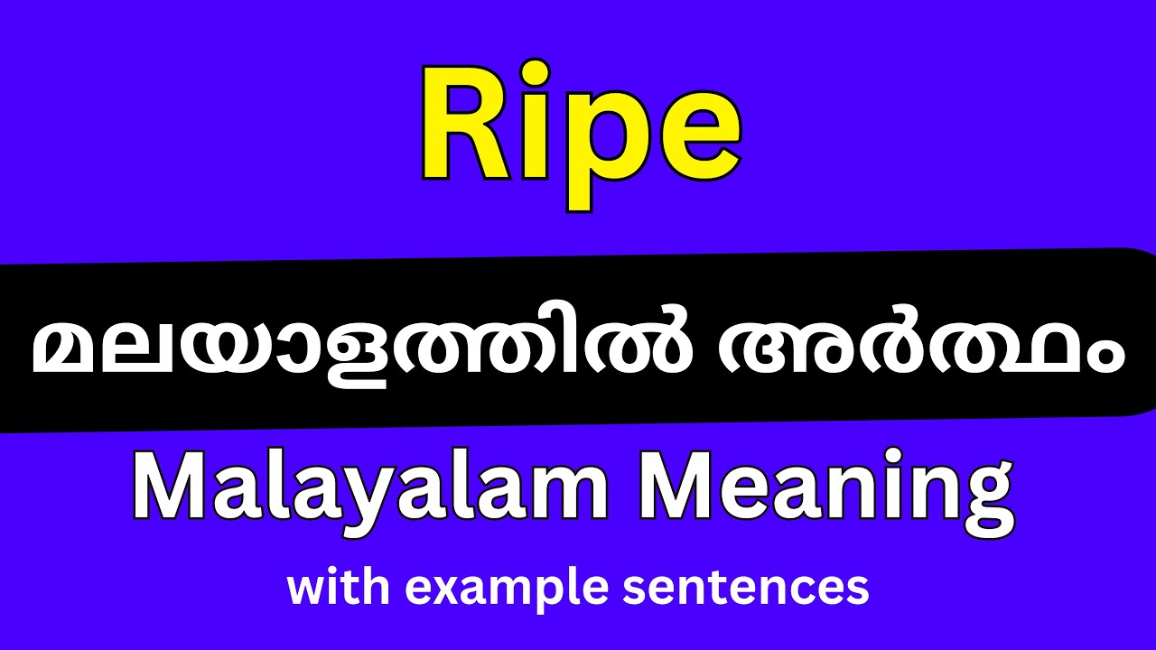 Ripe meaning in Malayalam/Ripe മലയാളത്തിൽ അർത്ഥം - YouTube