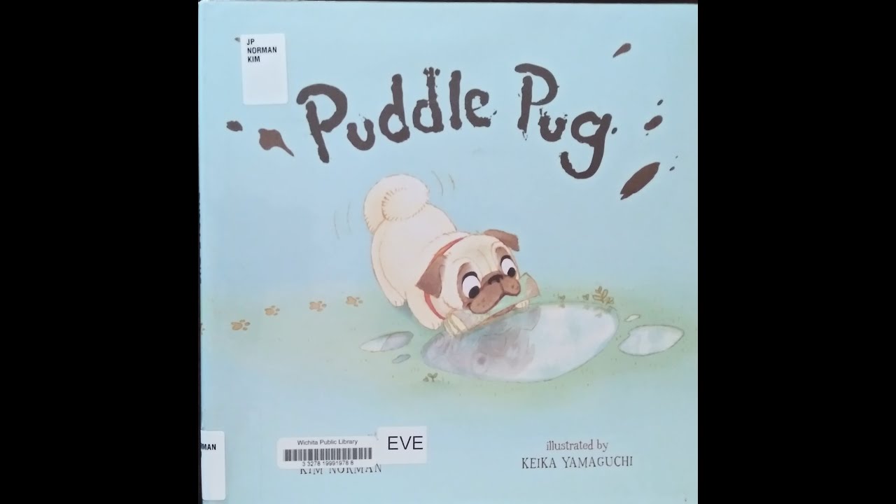 Puddle Pug - YouTube
