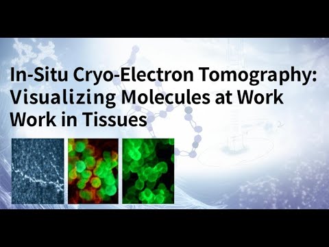 In-Situ Cryo-Electron Tomography: Visualizing Molecules at Work in Tissues. - YouTube