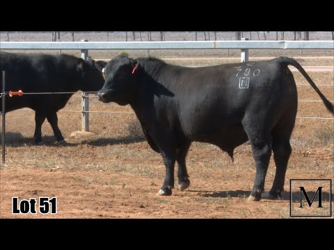 Lot 051 Pathfinder Newly SMP22T780 - YouTube