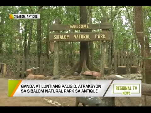 Regional TV News: Ganda ng Sibalom Natural Park - YouTube