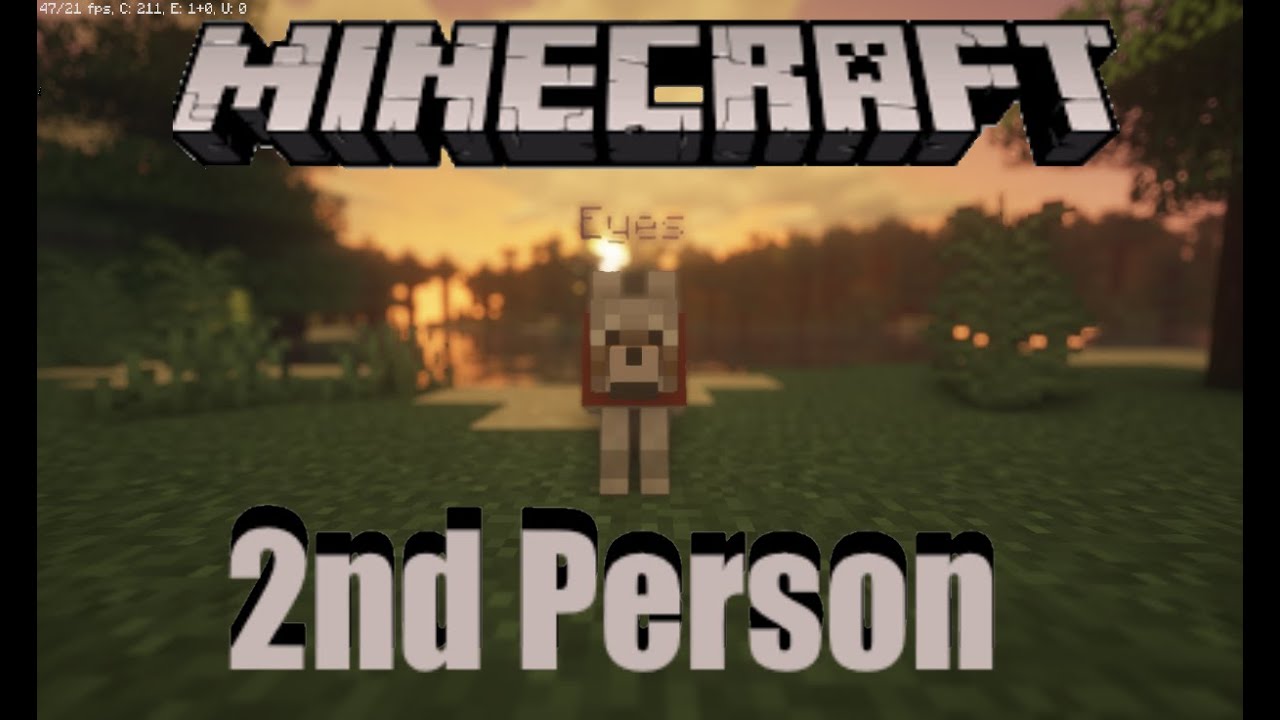 I Played Minecraft In 2nd Person - YouTube