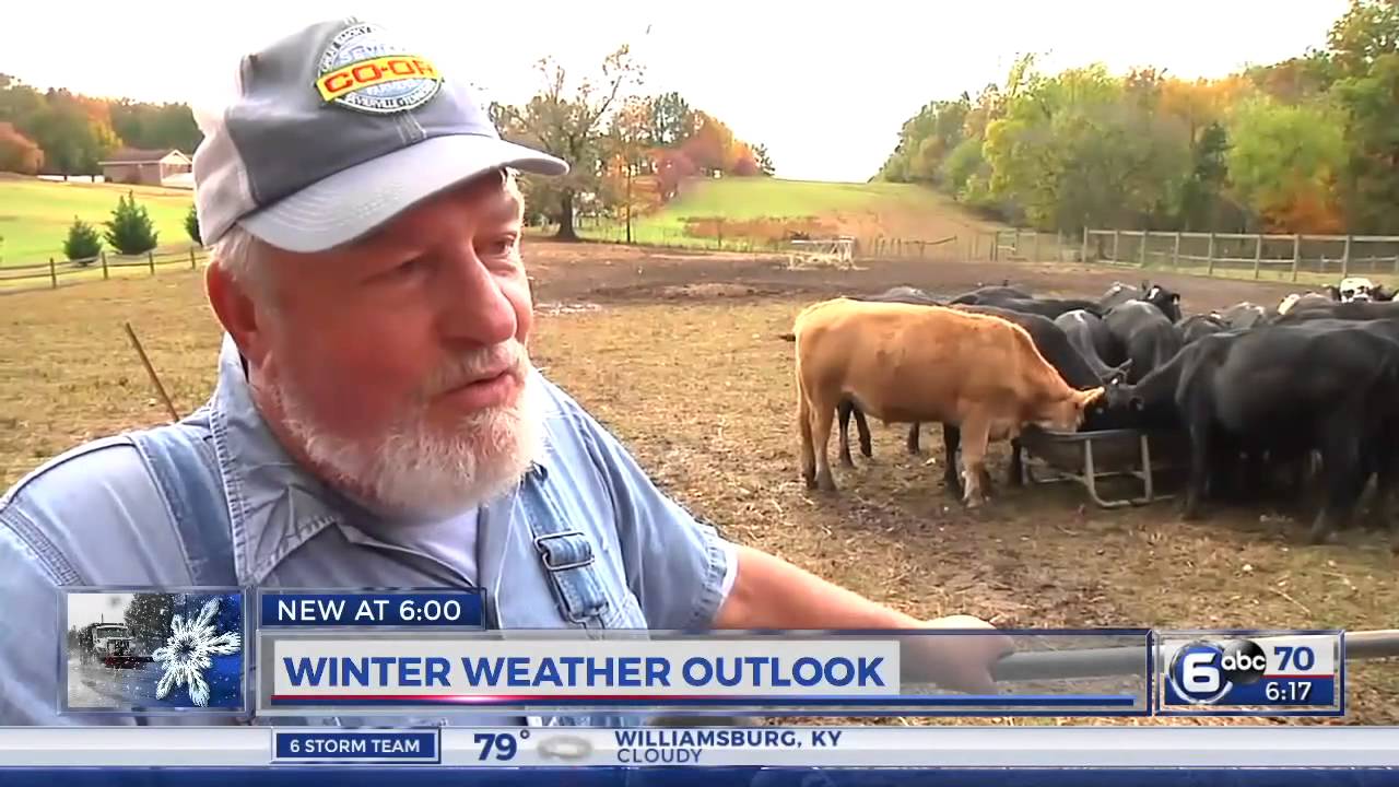 Weather Anchor Matt Hinkin - YouTube