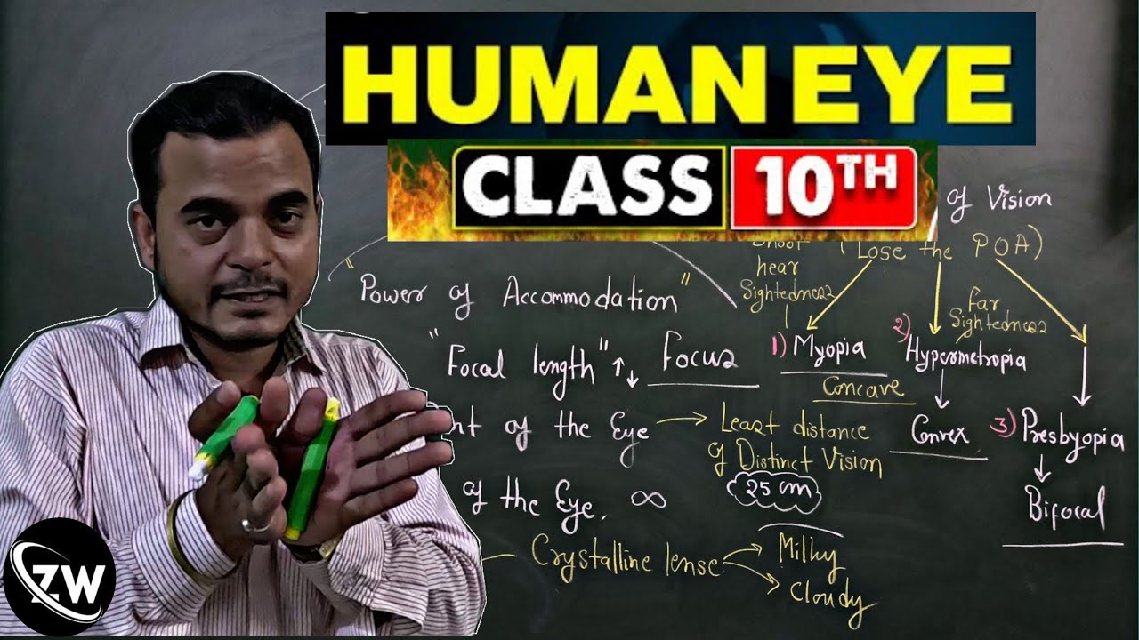 Human Eye & Colourful World💯 | Class 10th Physics #physics #ncert # ...