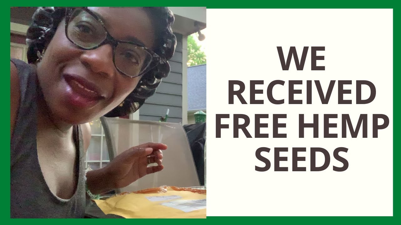 We Received a Seed Grant! | Growing New Hemp Genetics - YouTube