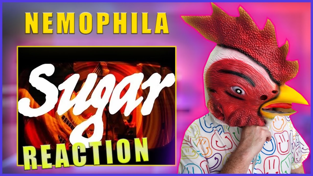 Nemophila - Sugar (SOAD Cover) | ROOSTER REACTS - YouTube
