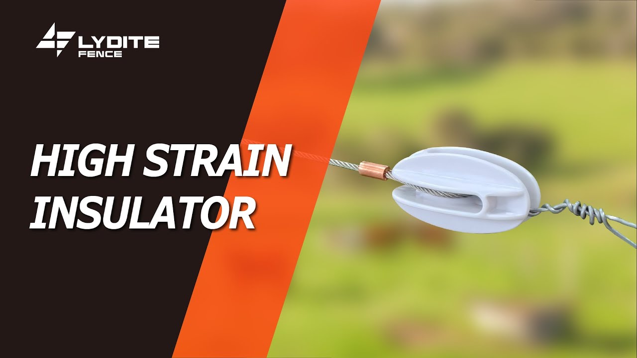 High Strain Insulator #fyp#firstreel#trending#reels - YouTube
