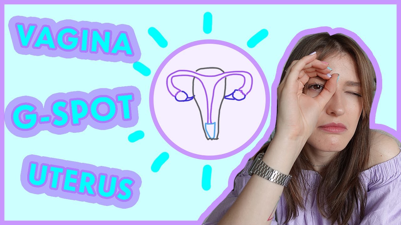 Vagina, G-Spot, Uterus - Female Reproductive System Inside - YouTube