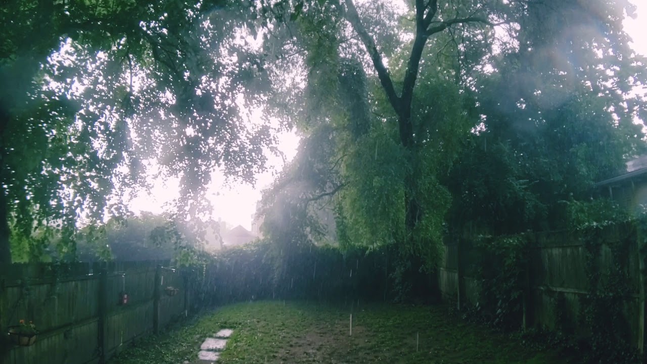 Backyard thunderstorms - YouTube