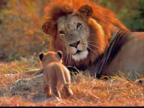 CONOCIMIENTO DEL VALOR DE LA VALENTIA - YouTube