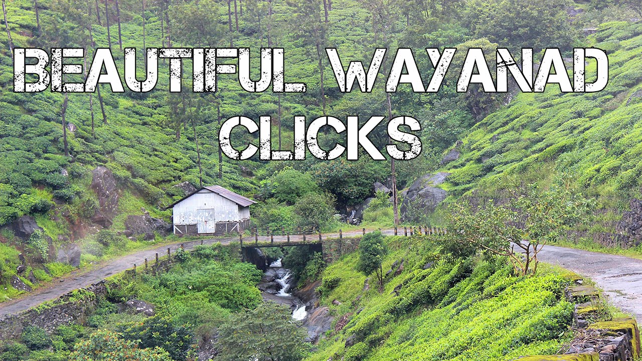 Wayanad Clicks - 2014 | വയനാടൻ ചിത്രങ്ങൾ , 2014-2018 കാലഘട്ടം പക ...