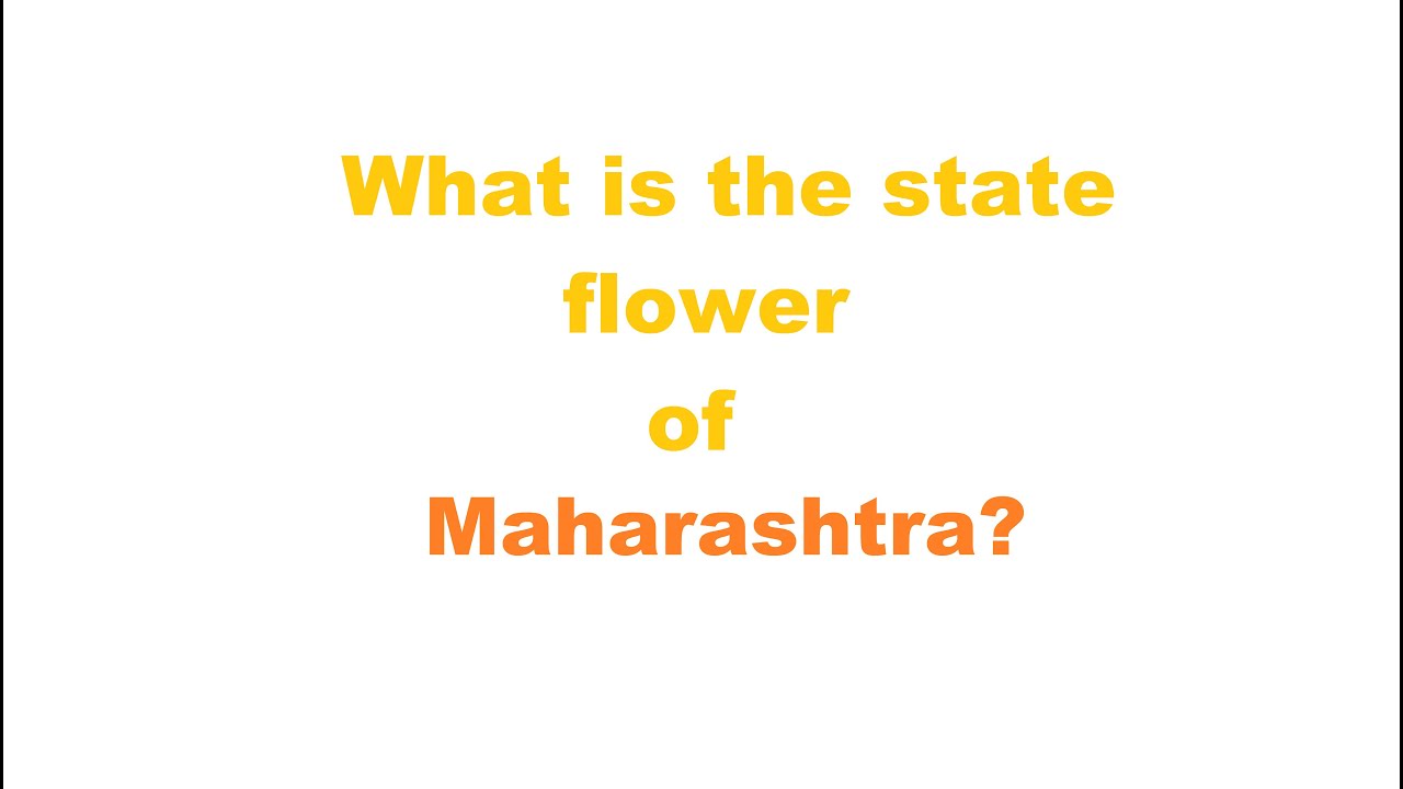 What is the state flower of Maharashtra? - YouTube